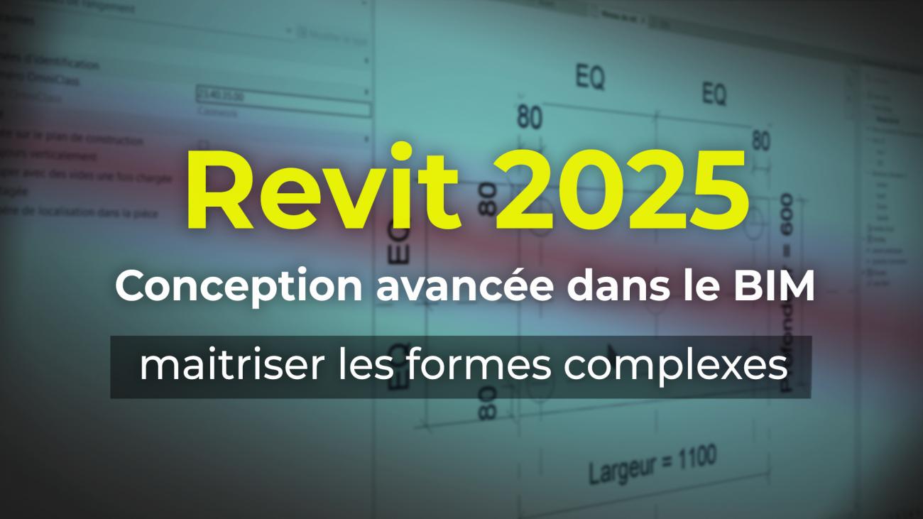 Gestion des Aspects Graphiques dans Revit